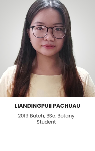 Liandingpuii Pachuau - Govt Zirtiri Residential Science College